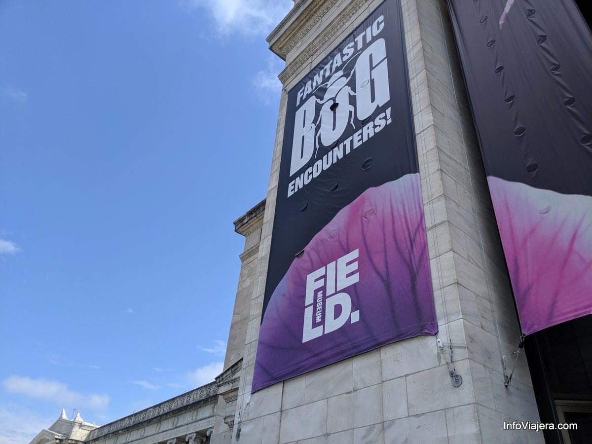 El museo Field de Historia Natural y Cultural en Chicago (USA) - Info ...