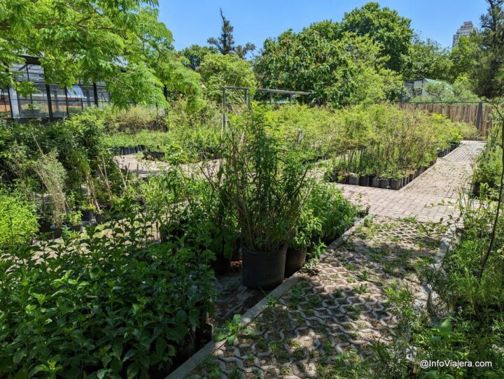 Conocimos el nuevo Ecoparque de la ciudad de Buenos Aires (Argentina ...