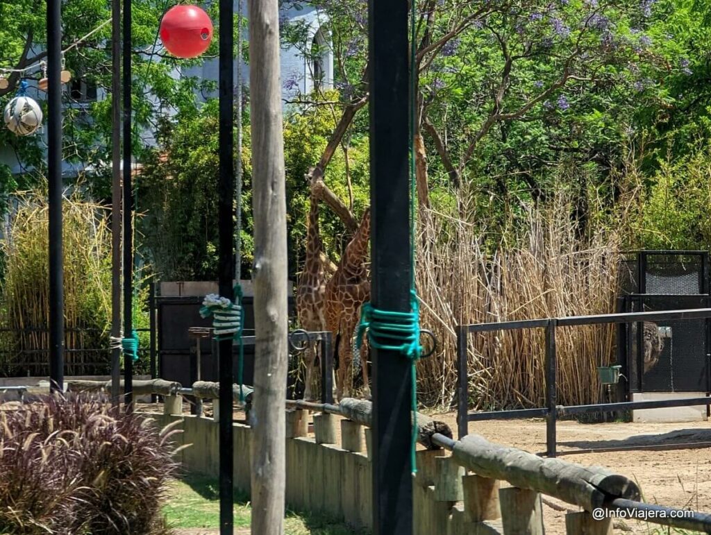 Conocimos el nuevo Ecoparque de la ciudad de Buenos Aires (Argentina ...