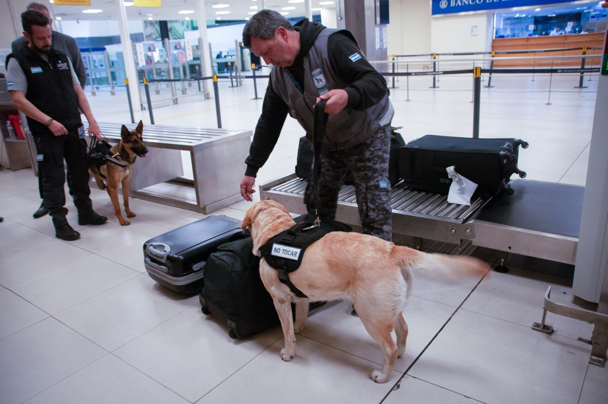 Aduana Del Aeropuerto Cuáles Son Los Nuevos Controles Aduaneros Para