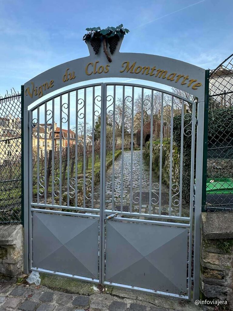 Hay viñedos dentro de la ciudad de París, por ejemplo en Montmartre ...