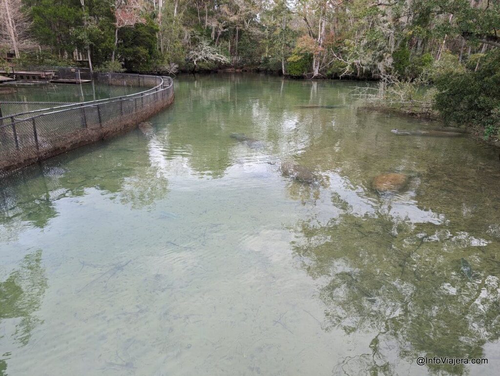 Ellie Schiller Homosassa Springs Wildlife State Park en Crystal River ...
